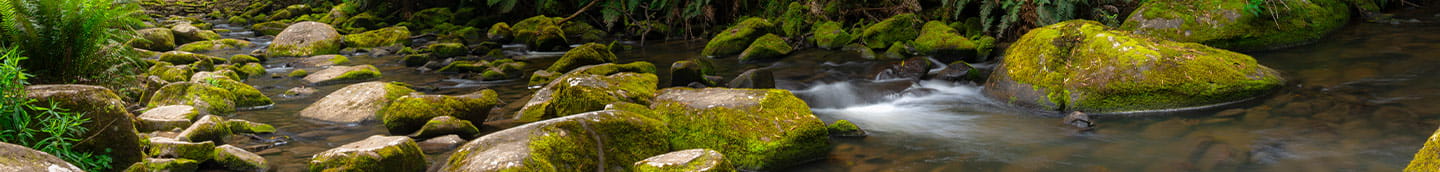 Parks Victoria Board