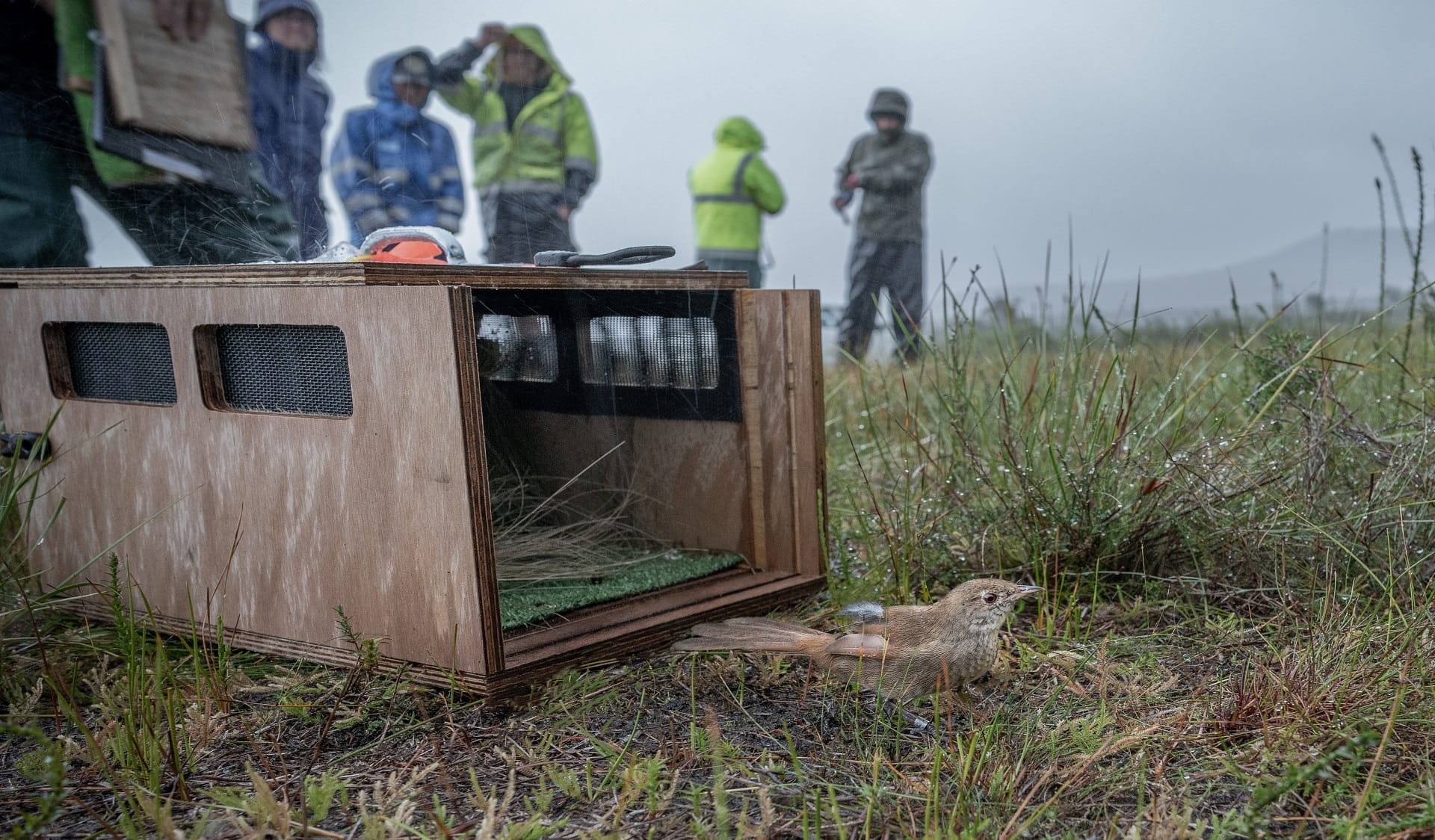Wilsons Prom Sanctuary