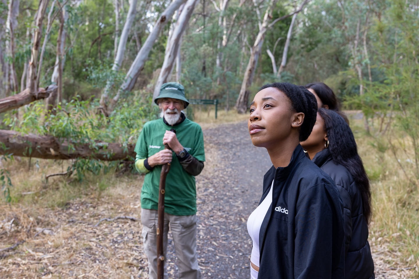 Join the Park Walks Volunteer Community