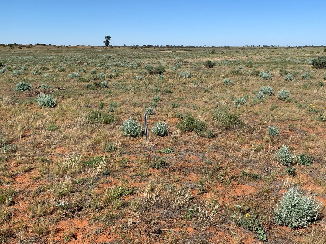 A landscape approach to restore the Mallee