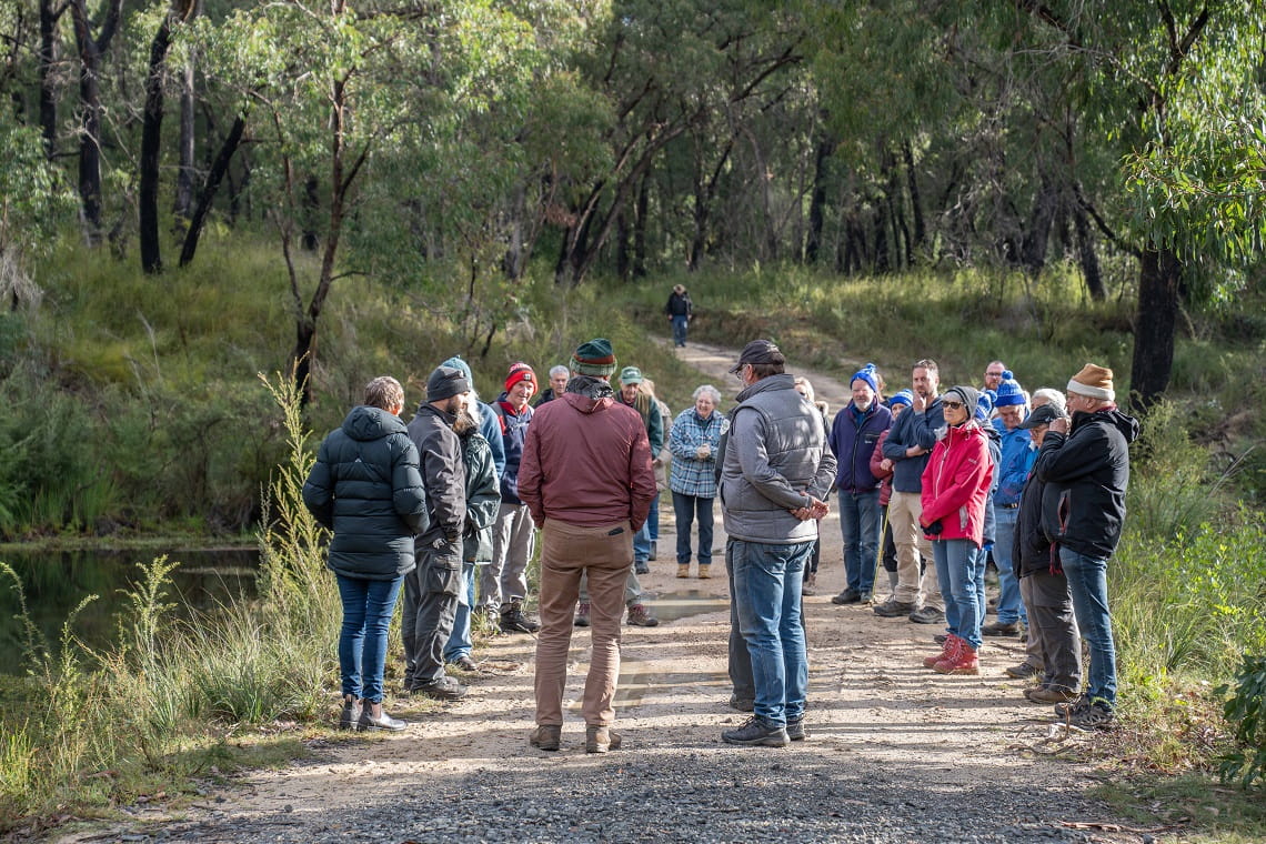 From embers to recovery - Bunyip State Park is bouncing back