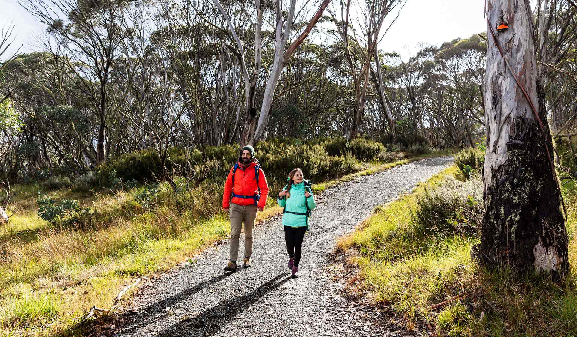 Bright, Feathertop and Dinner Plain