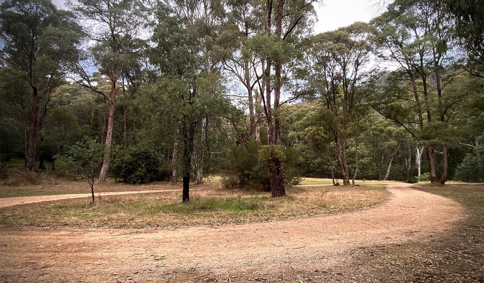 Bindaree Flat Camping Area