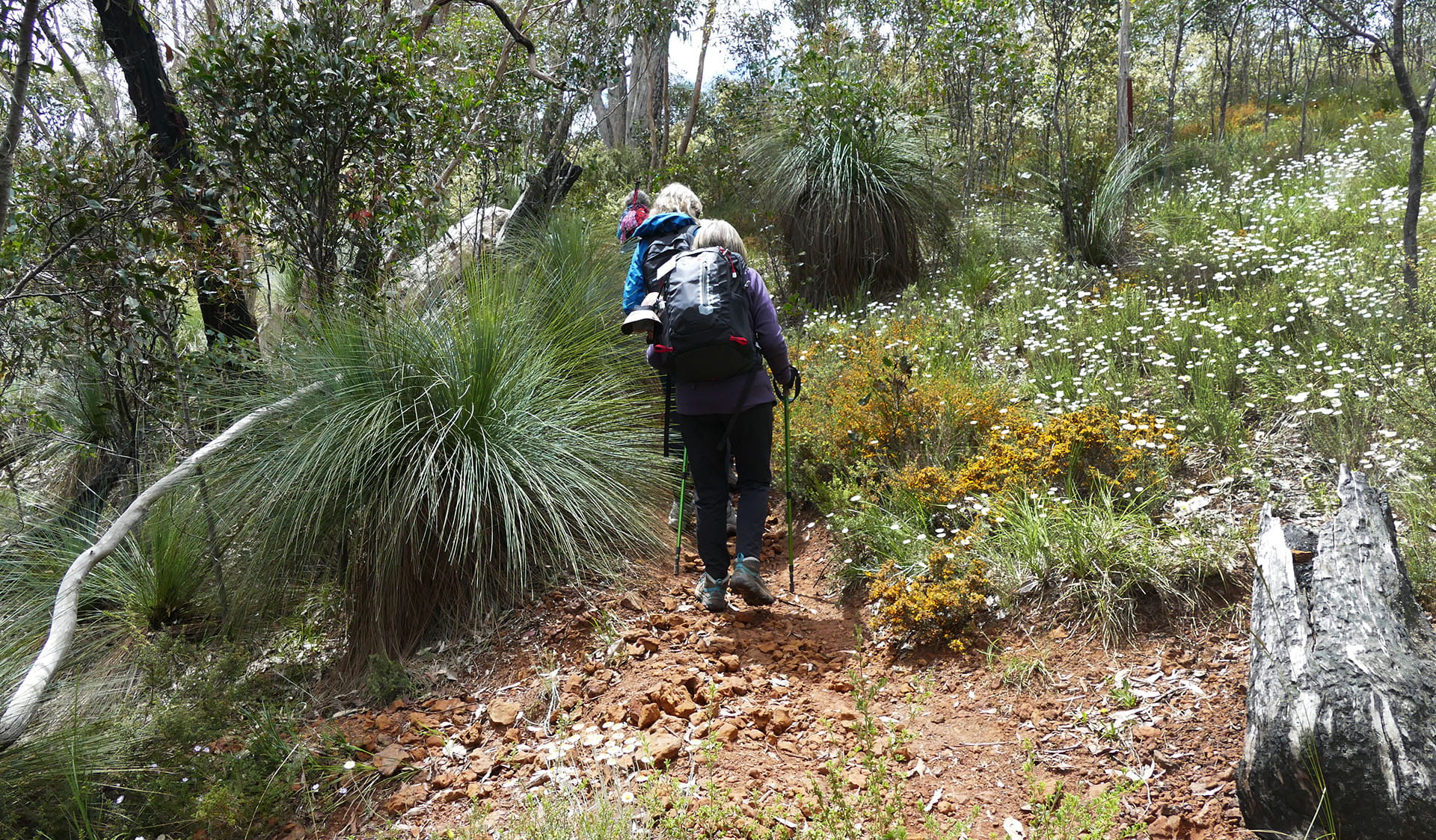 Brisbane Ranges National Park