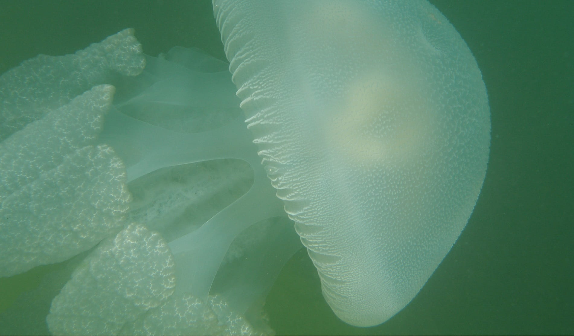 Corner Inlet Marine National Park