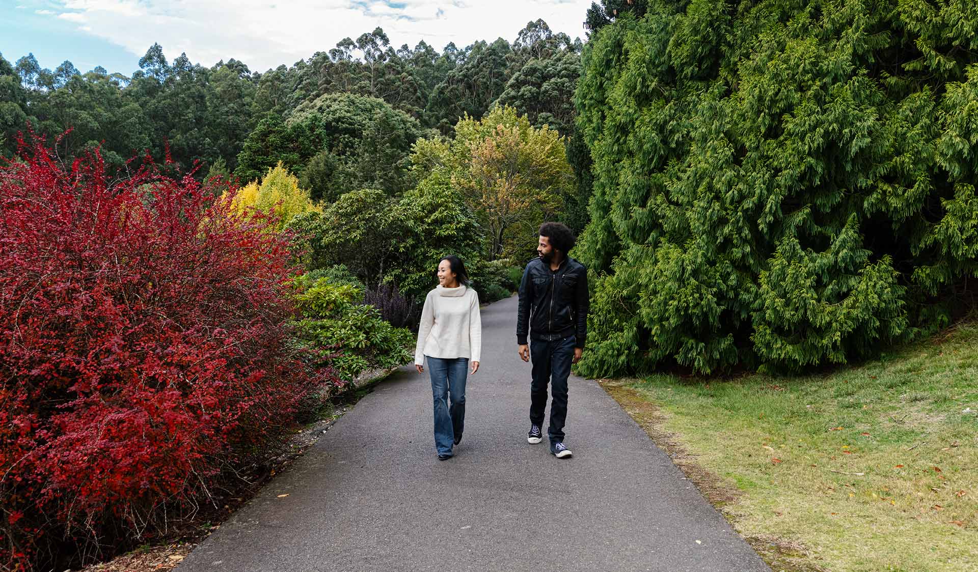 Dandenong Ranges Botanic Garden