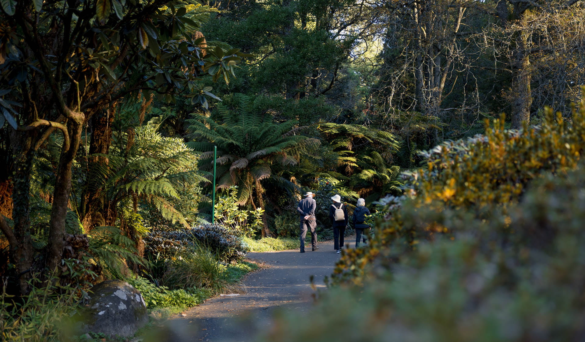 Dandenong Ranges Botanic Garden