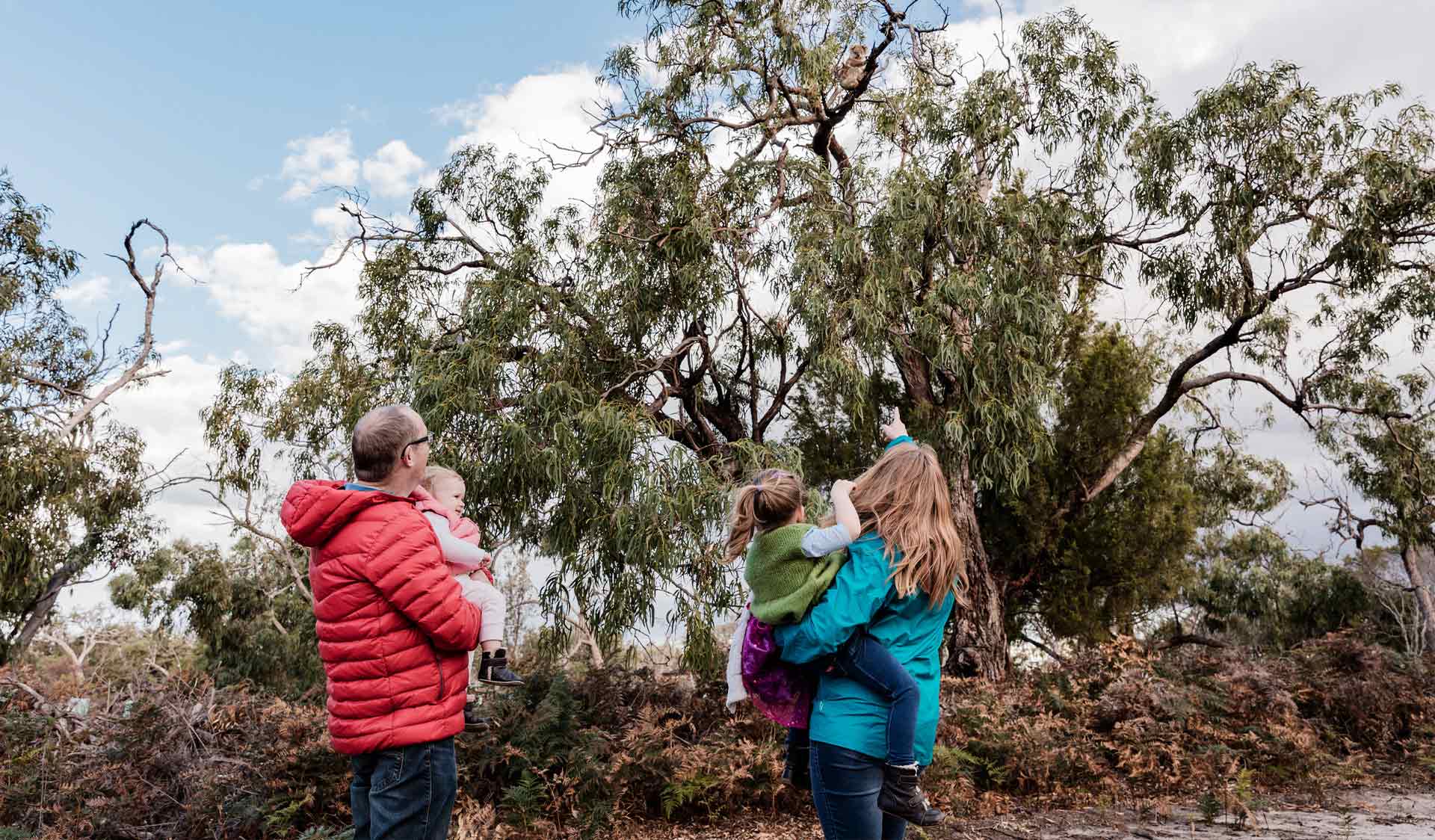 Raymond Island Gippsland Lakes Reserve