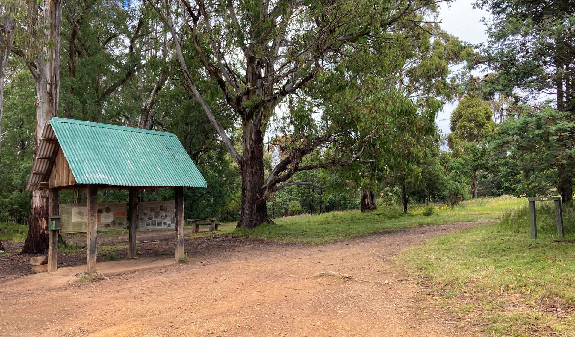 Walking in Grant Historic Area