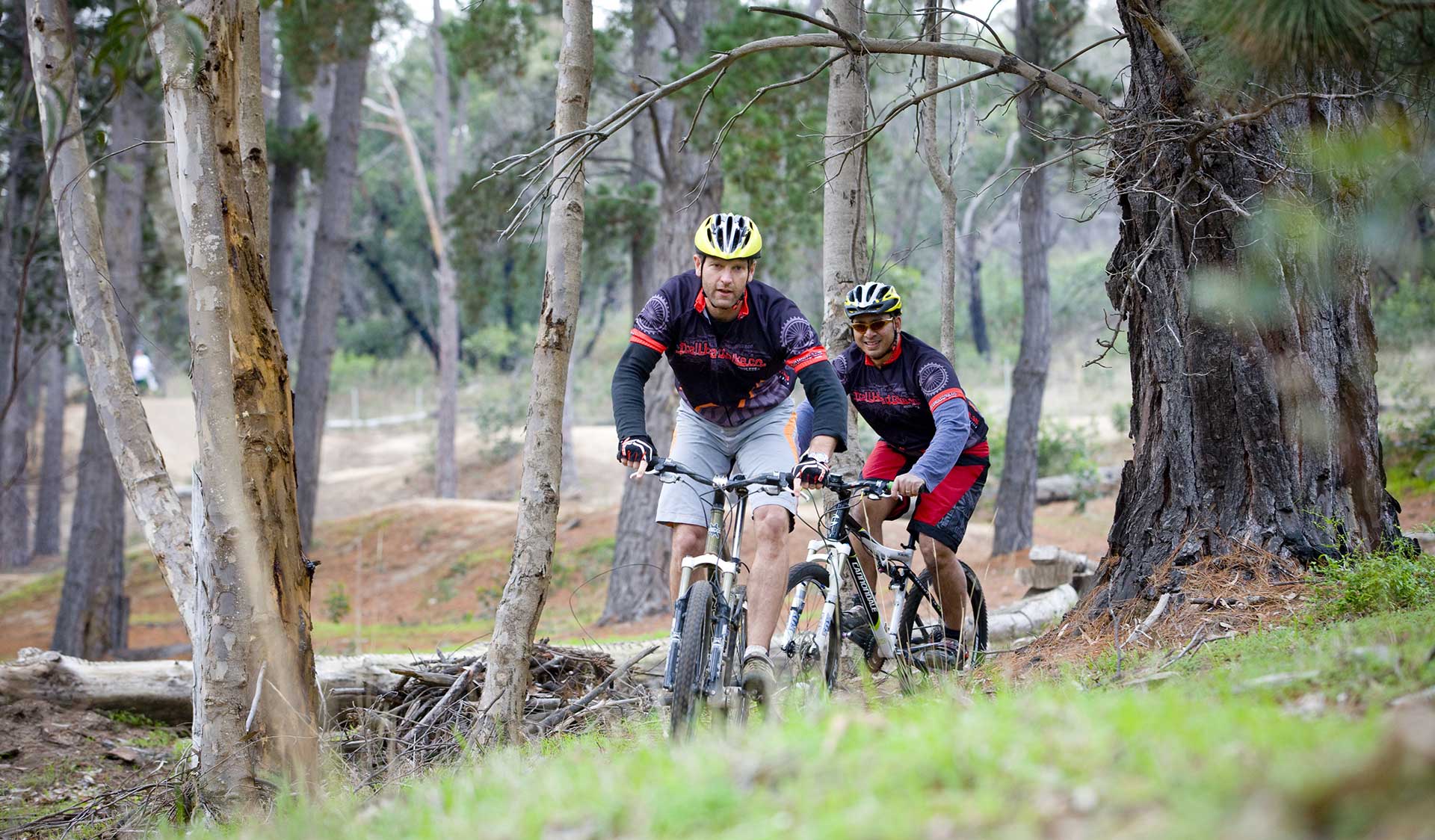 Anglesea and Aireys Inlet