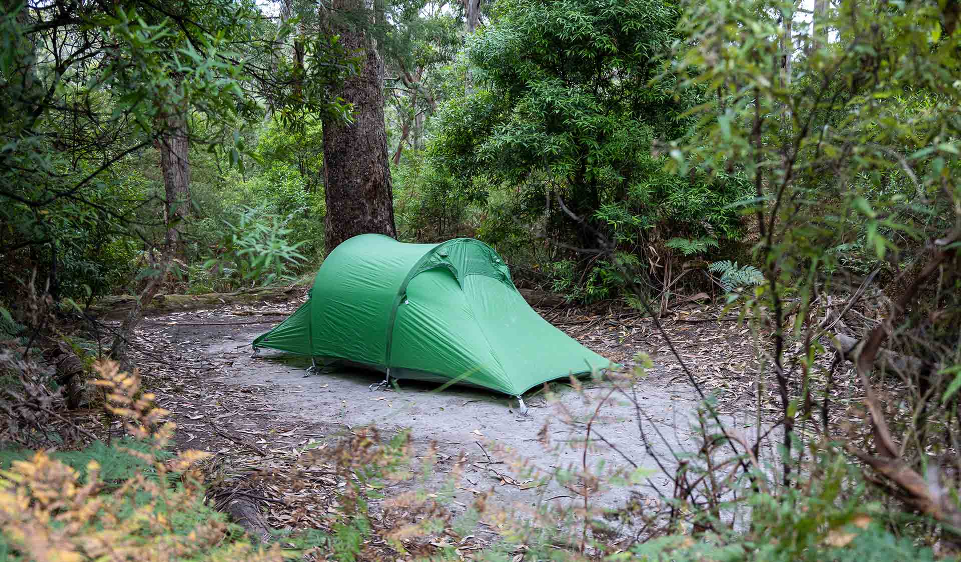 How to book camping online