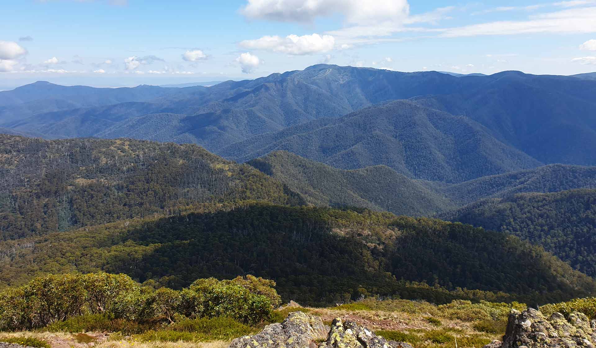 Howqua Hills Historic Area