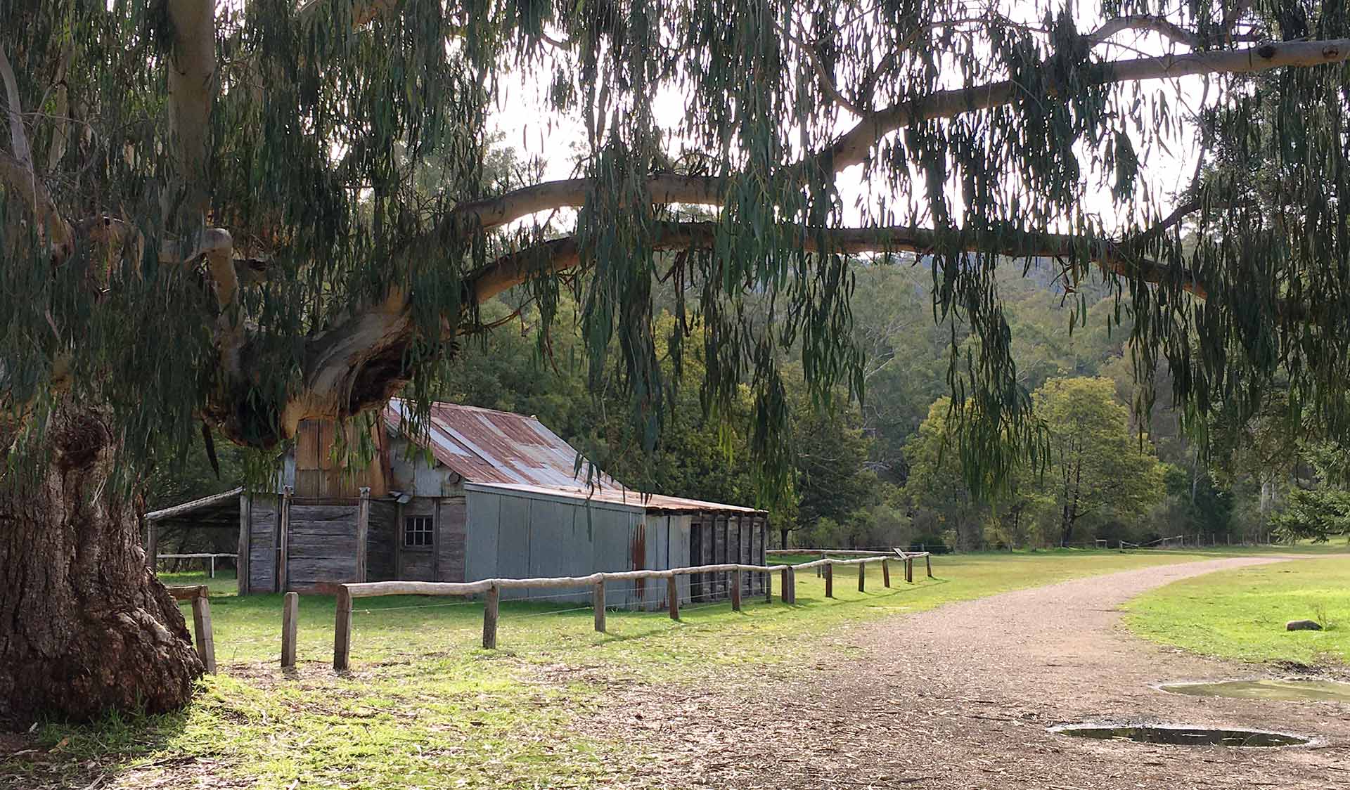 Walking in Howqua Hills and Alpine National Park