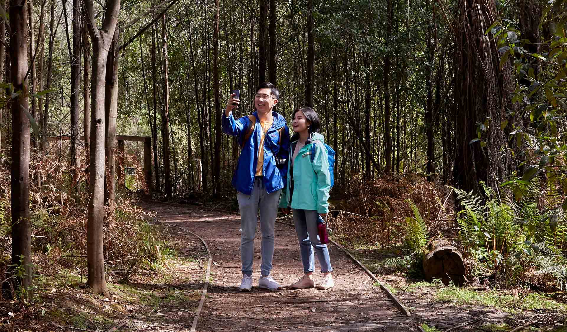 Kinglake National Park