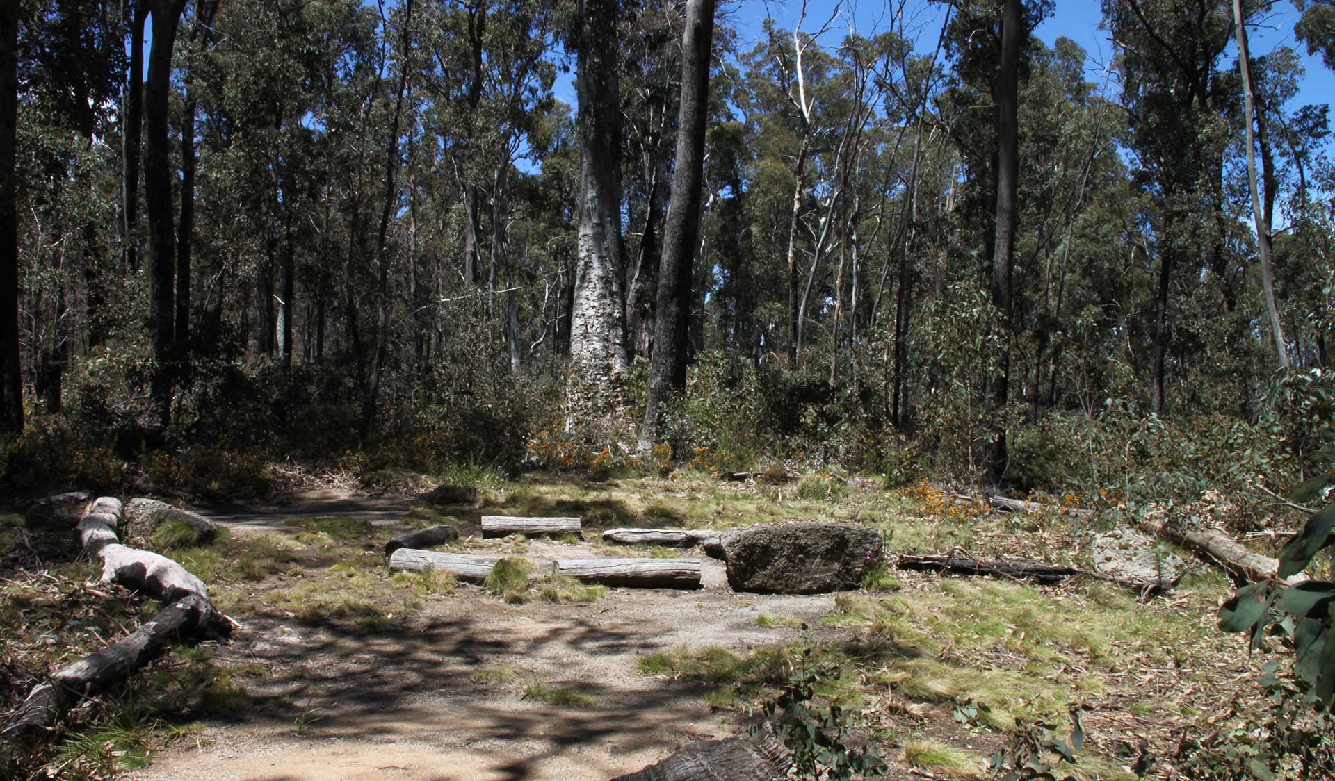 Remote hike-in camping