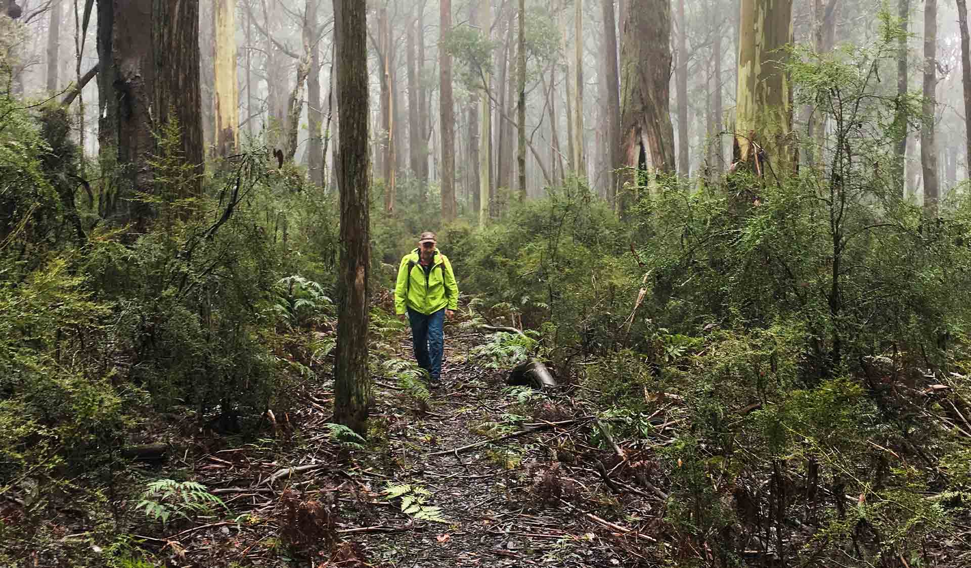 Mount Samaria State Park