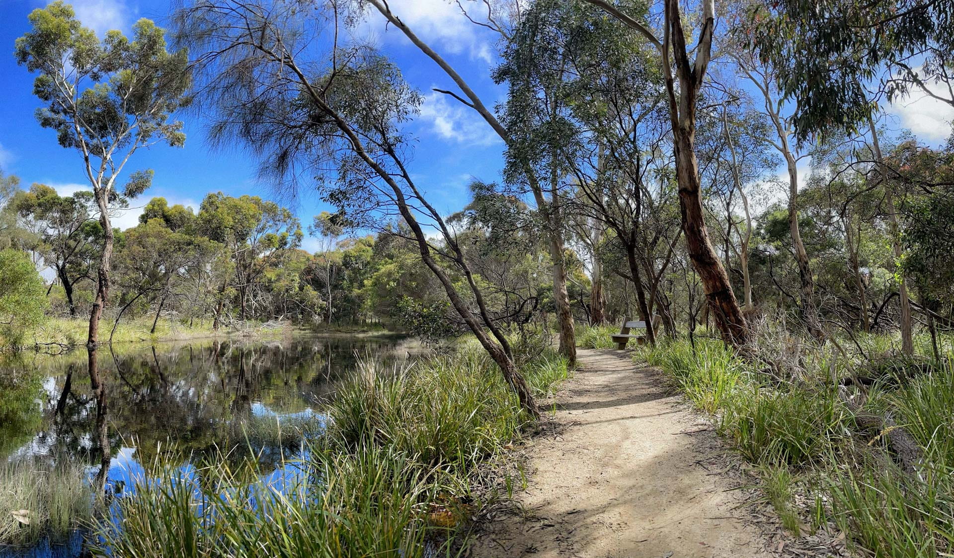 Ocean Grove Nature Conservation Reserve