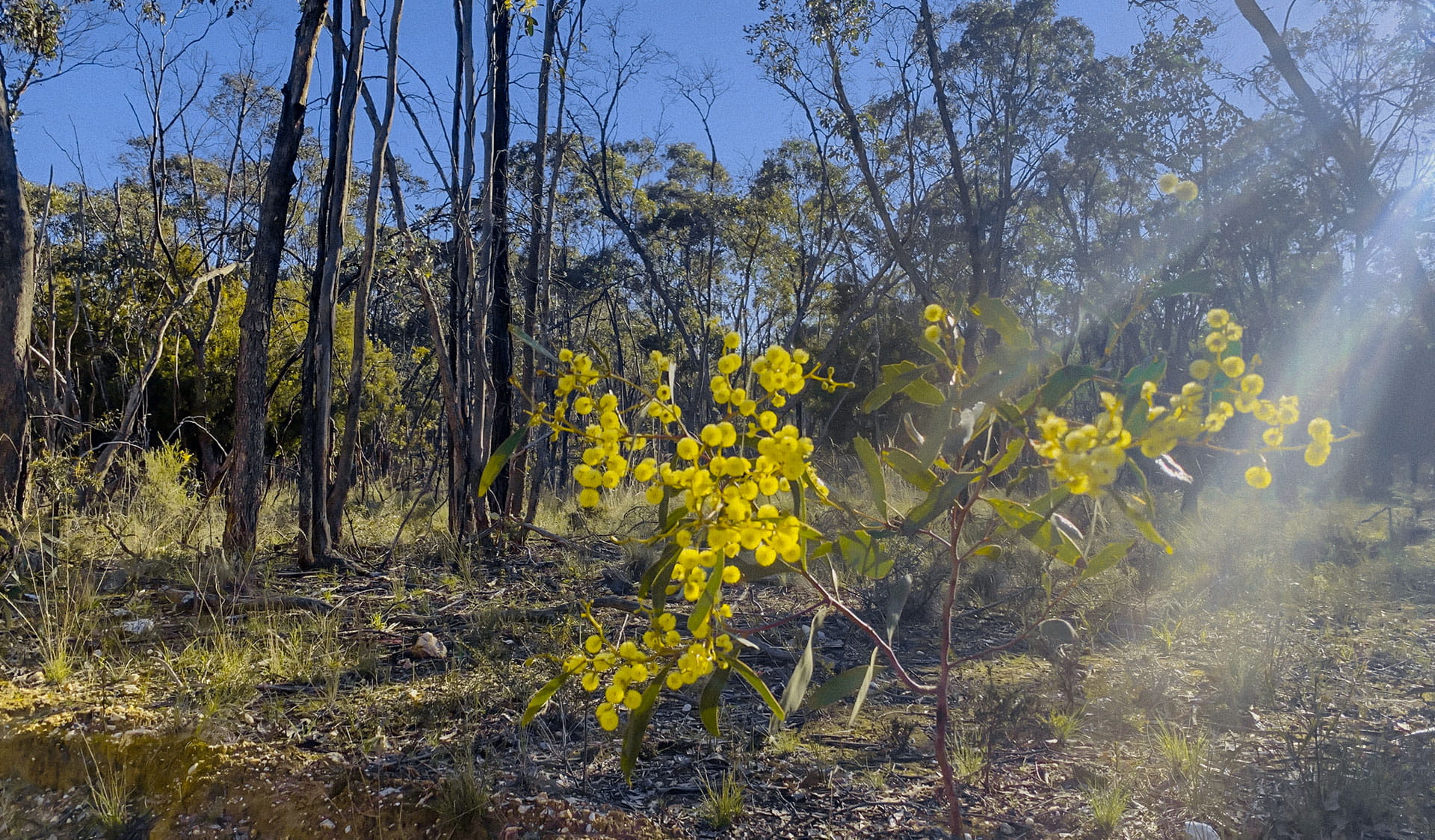 Paddys Ranges State Park
