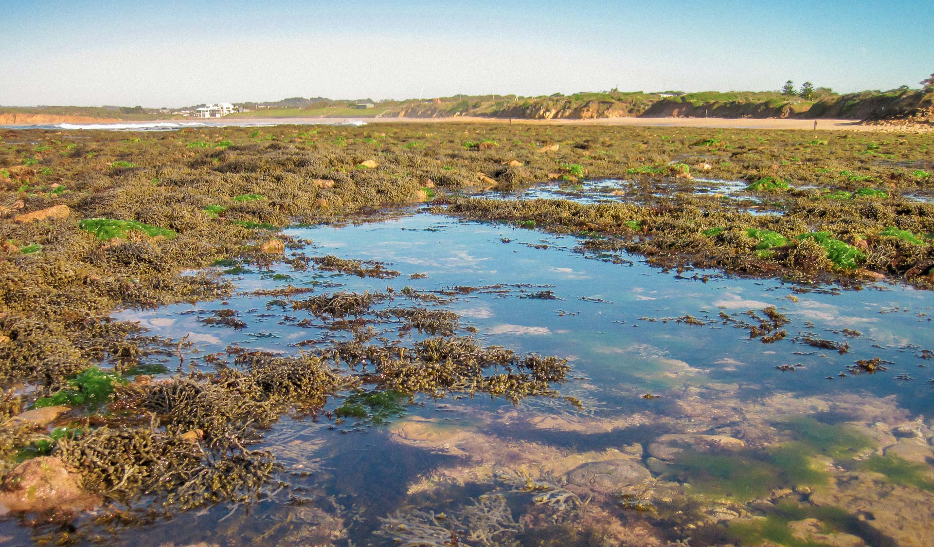 Point Danger Marine Sanctuary