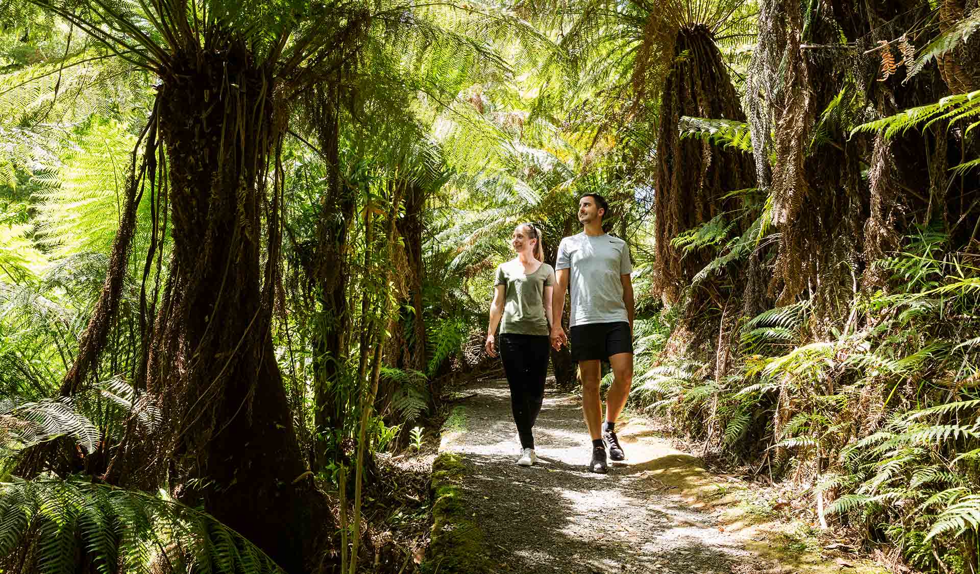Tarra-Bulga National Park