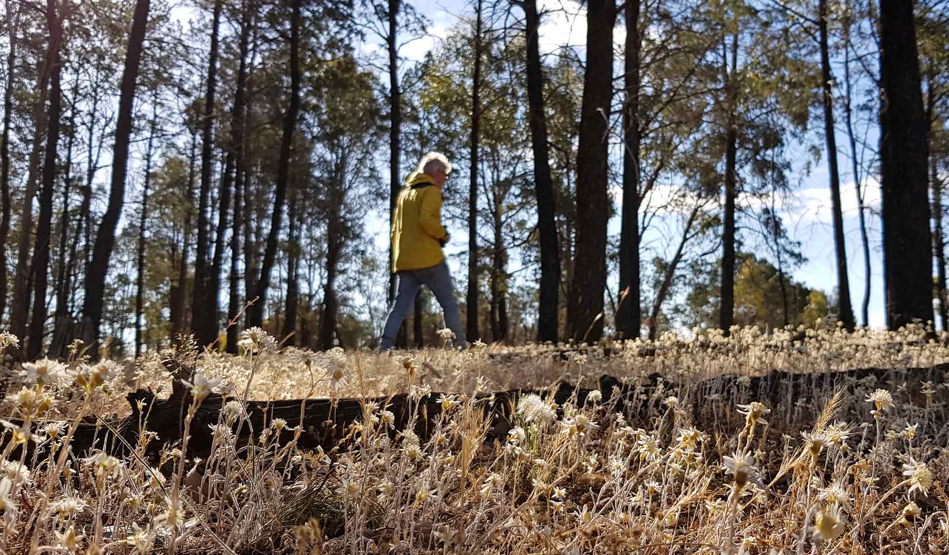 Terrick Terrick National Park