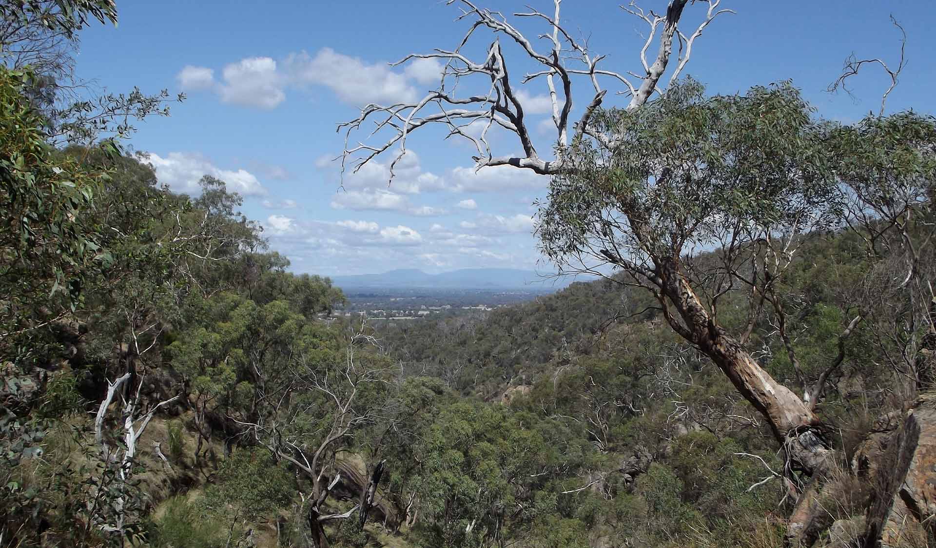 Warby-Ovens National Park