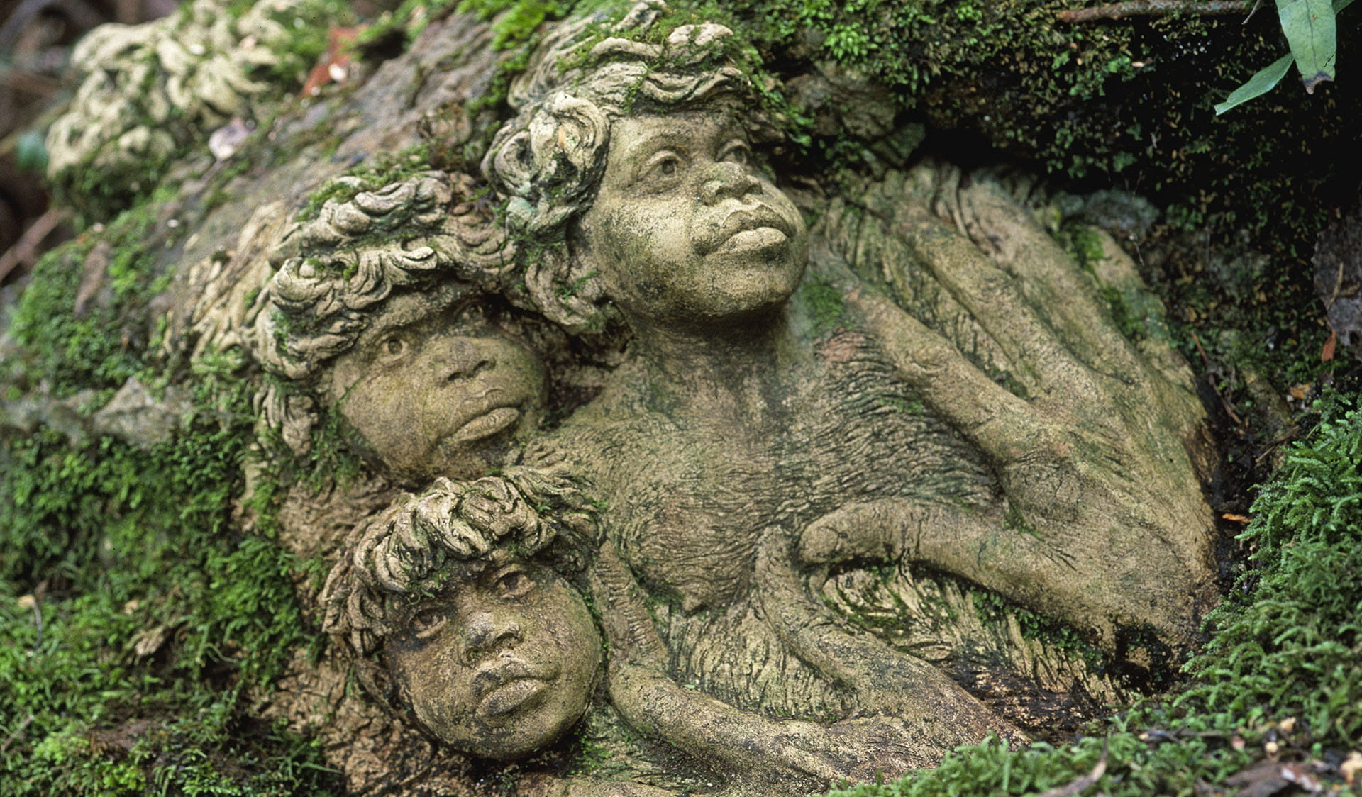 William Ricketts Sanctuary