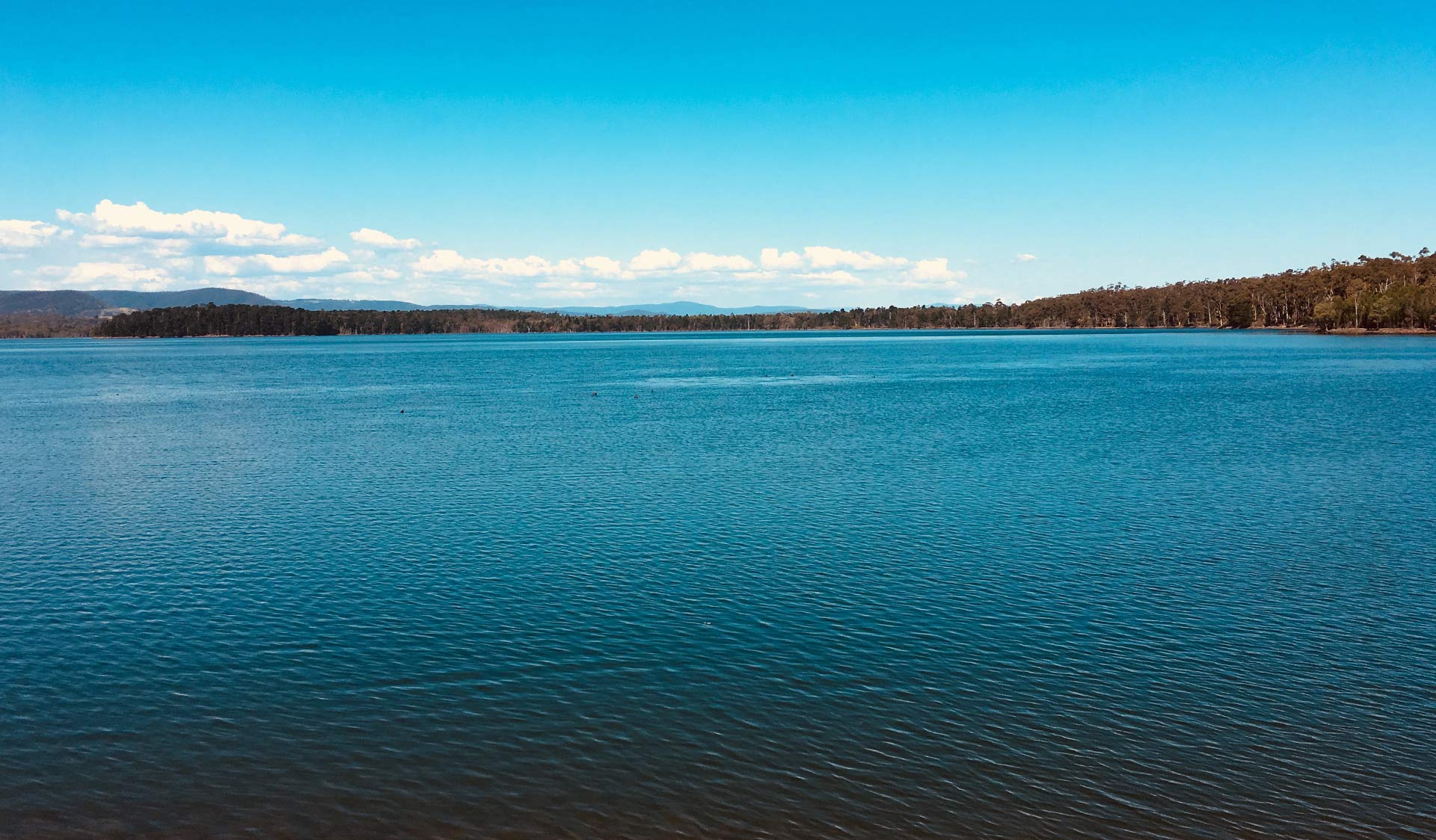 Yan Yean Reservoir Park